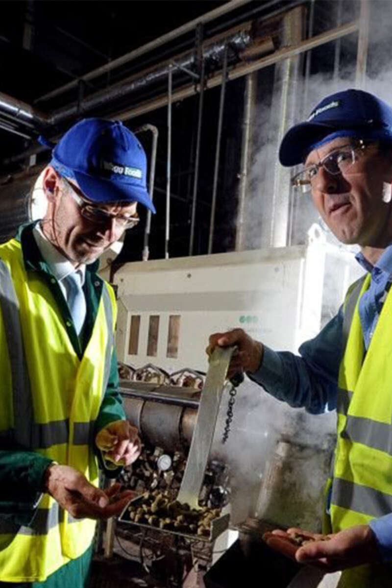 About - Wagg Pet Foods